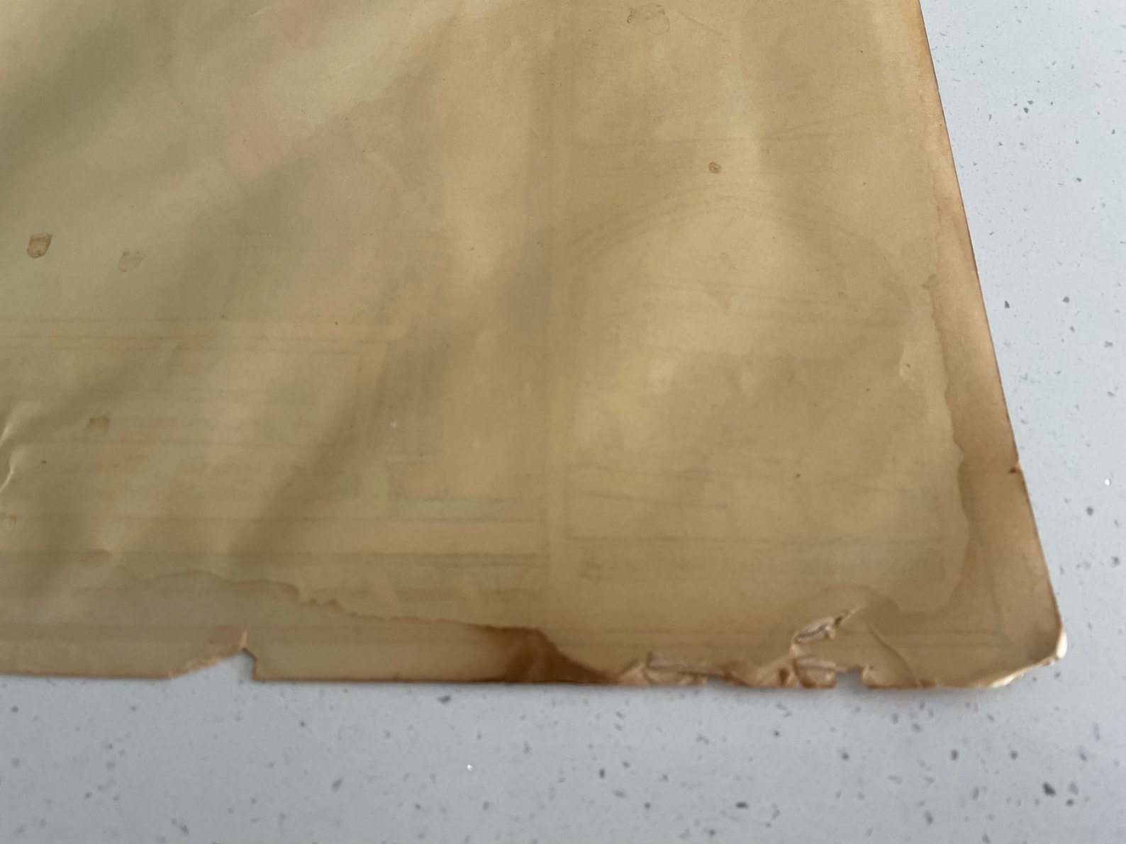 New Mappe of Wellesley by Alva Scott Mitchell and Elizabeth Paige May ...