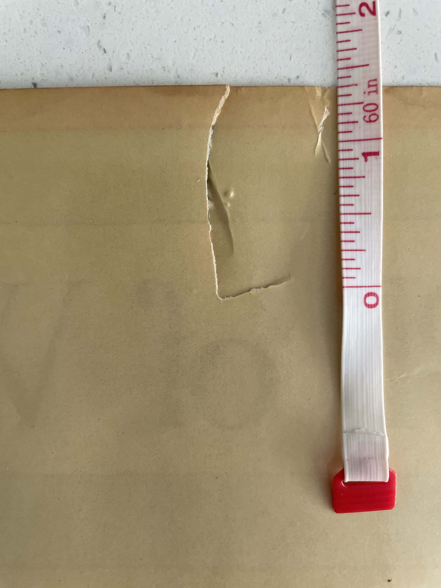 New Mappe of Wellesley by Alva Scott Mitchell and Elizabeth Paige May ...