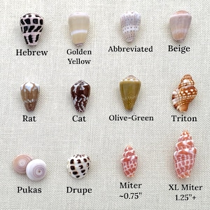 Sterling Silver Custom Hawaiian Shell Bangle, Shell Bangles, Made in ...