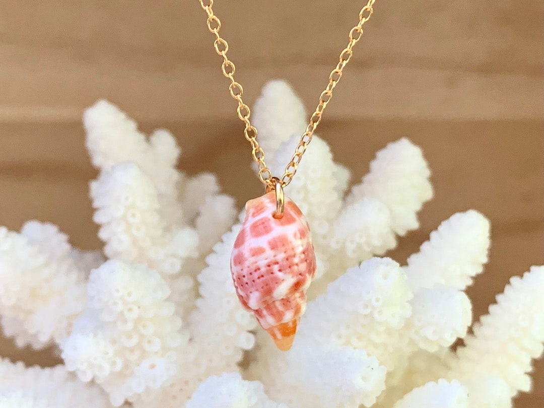 Miter Shell Necklace, Hawaiian Seashell, Shell Jewelry, Gift for Beach ...