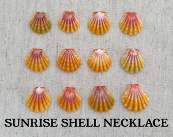 Sunrise Shell - Etsy