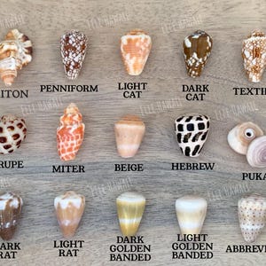 Custom Gold Hawaiian Shell Bangle, Shell Bangles, Made in Hawaii, Gifts ...