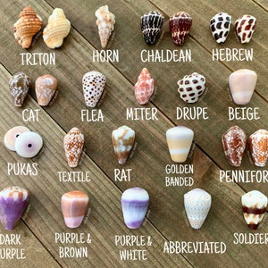 Sterling Silver Custom Hawaiian Shell Bangle, Shell Bangles, Made in ...