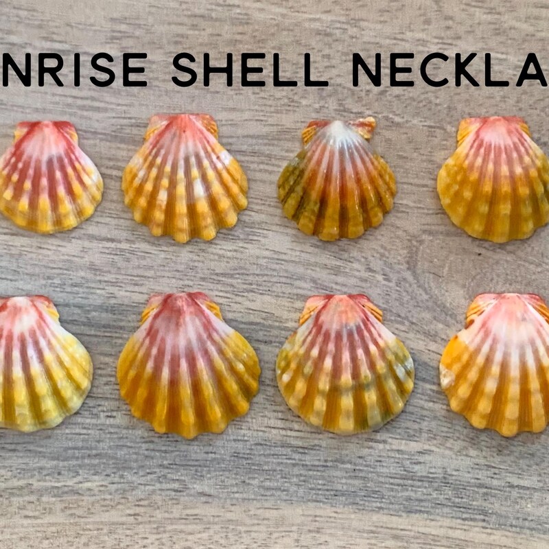 Sunrise Shell Necklace - Etsy