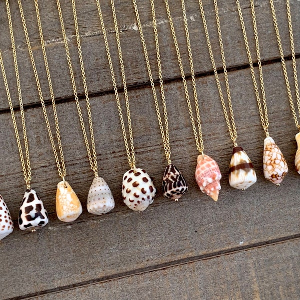 Hawaii Shell Jewelry - Etsy