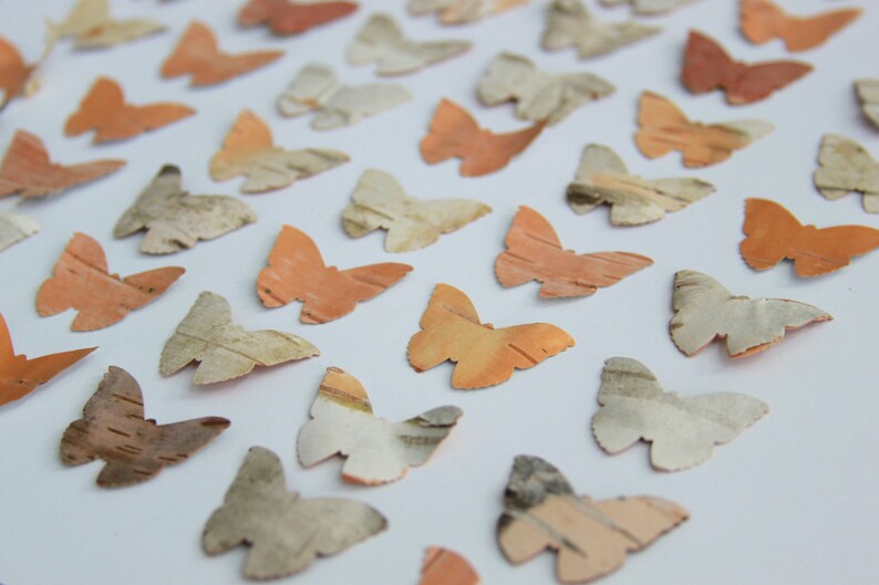 Butterfly Butterfly Confettis Butterfly Party Decor Birch - Etsy