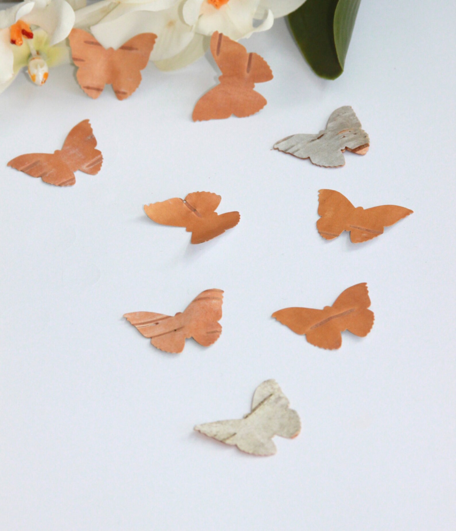 Butterfly Butterfly Confettis Butterfly Party Decor Birch - Etsy