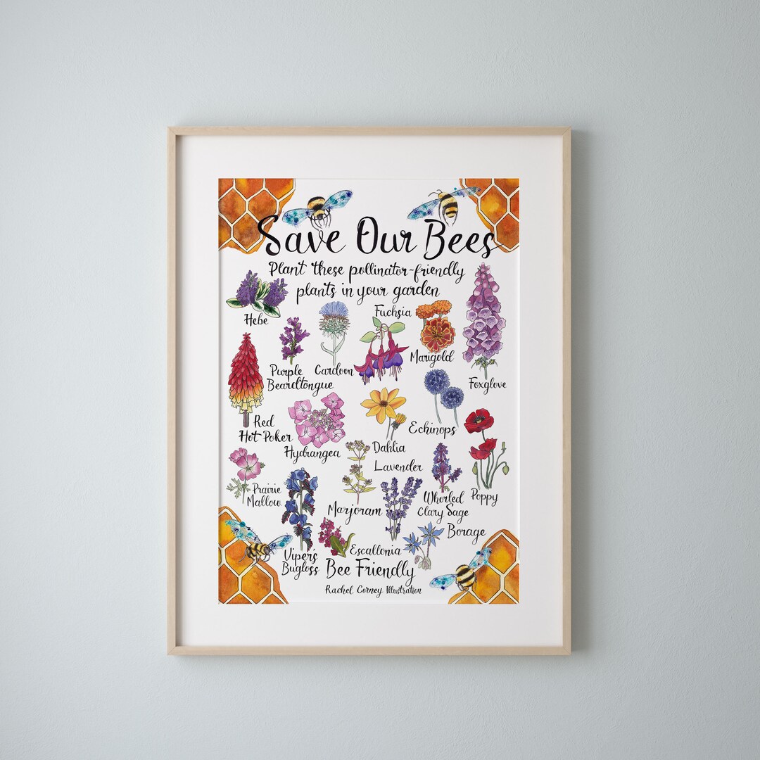 Bee Friendly Save Our Bees Planting for Pollinators A3 Poster - Etsy