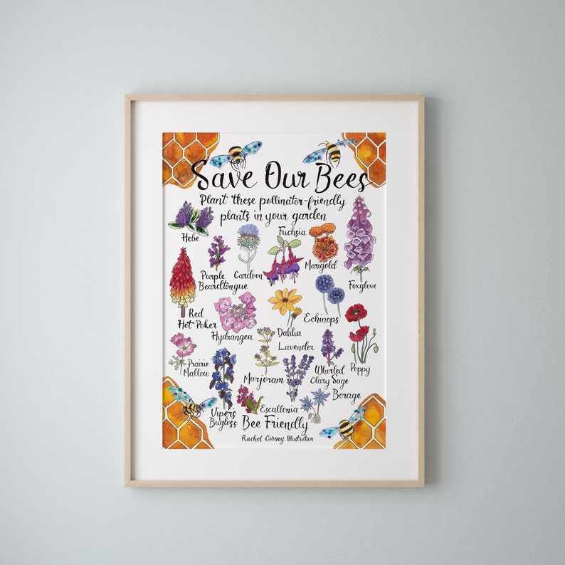 Bee Friendly Save Our Bees Planting for Pollinators A3 Poster - Etsy