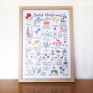 British Wildflowers A4 Poster Nature Print - Etsy UK