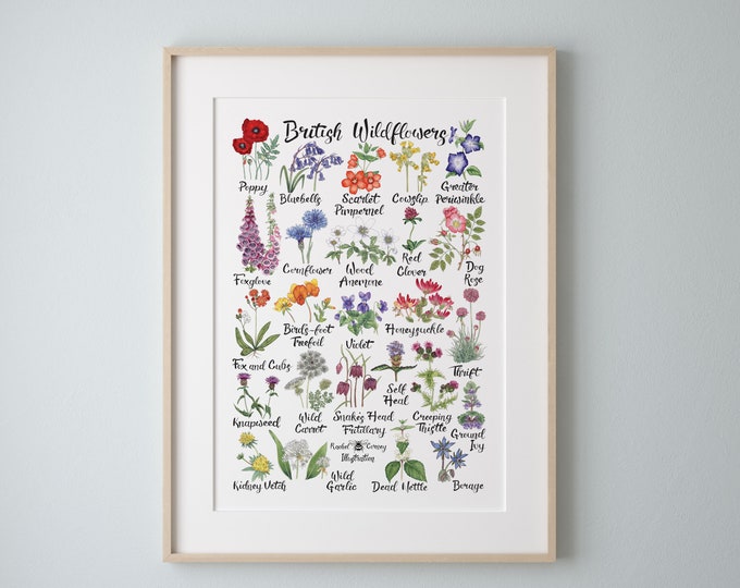 British Wildflowers A4 Poster Nature Print - Etsy UK