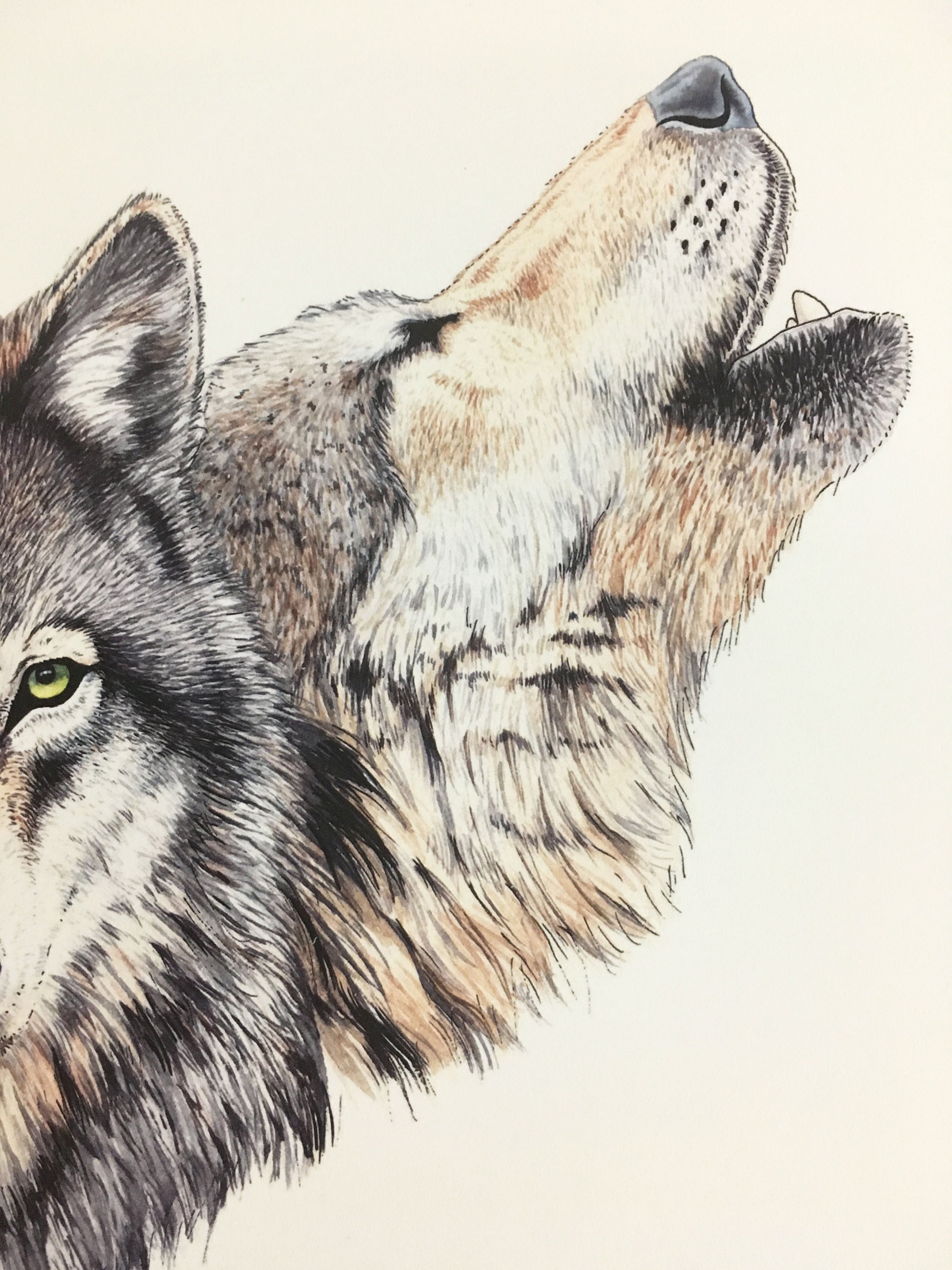 Three Wolves Art Print High Quality Digital A4 Print Grey | Etsy