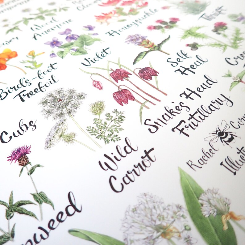 British Wildflowers A4 Poster Nature Print - Etsy UK