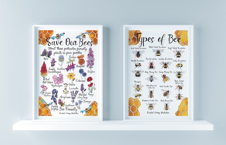 Bee Friendly Save Our Bees Planting for Pollinators Poster A3 - Etsy