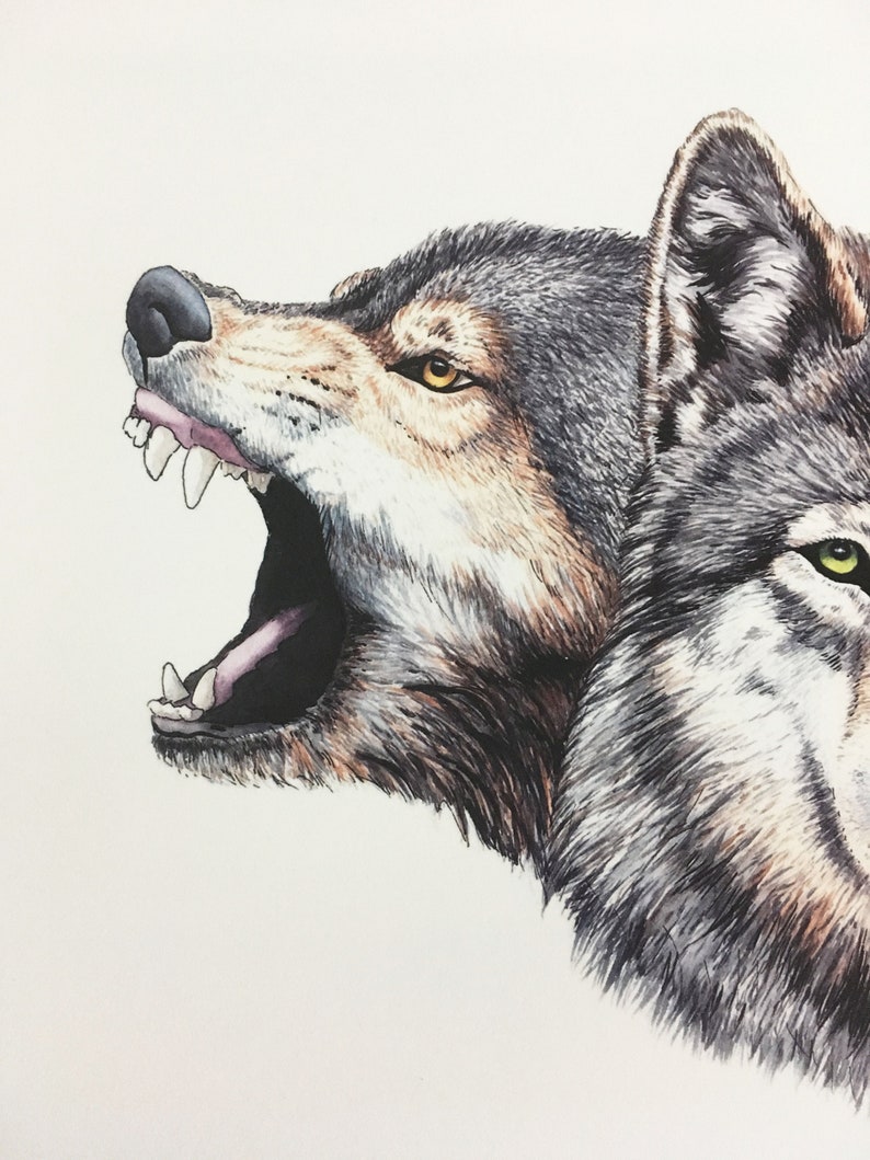 Three Wolves Art Print High Quality Digital A4 Print Grey | Etsy