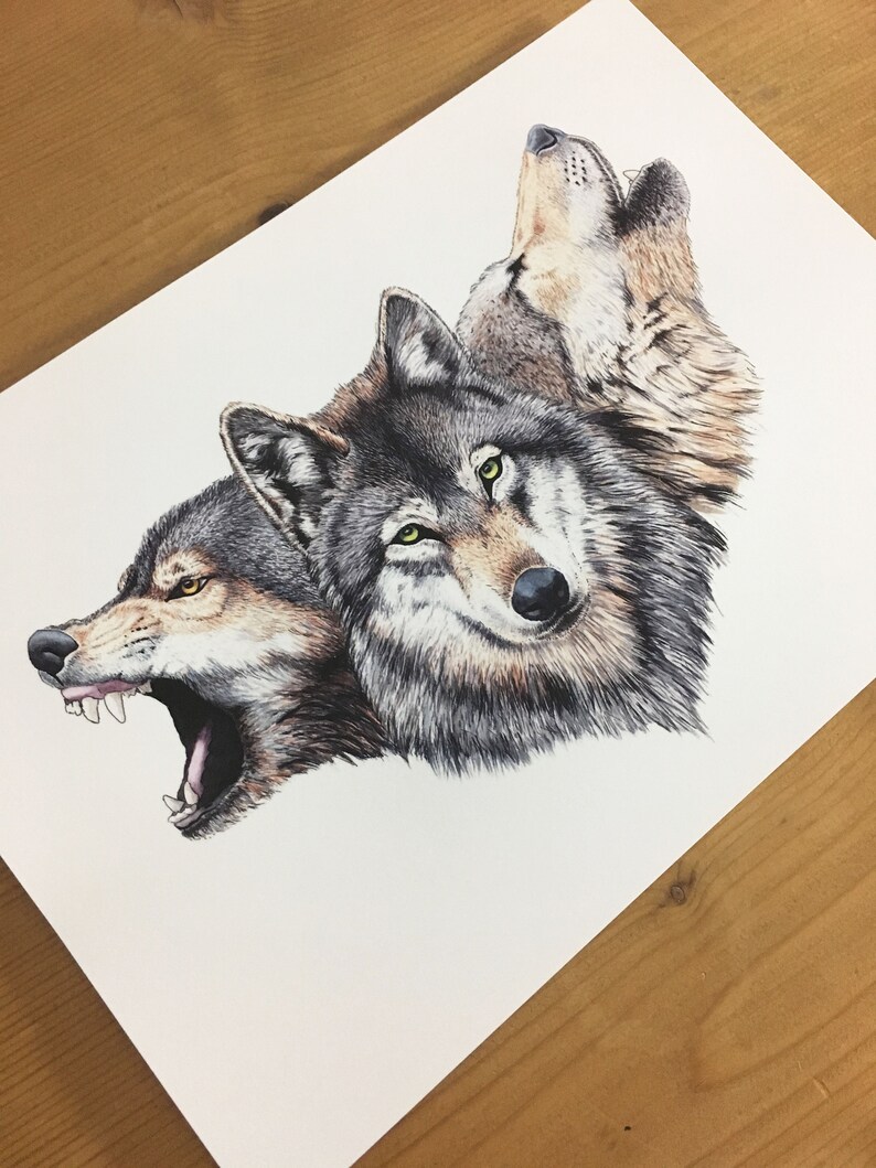 Three Wolves Art Print High Quality Digital A4 Print Grey | Etsy