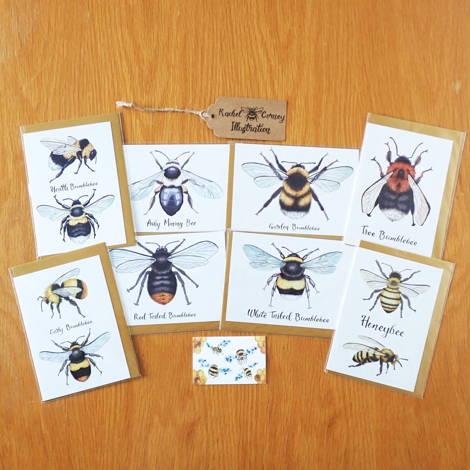 Common British Types of Bee Greetings Card 8 Pack - Etsy UK