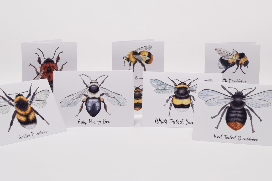 Common British Types of Bee Greetings Card 8 Pack - Etsy UK