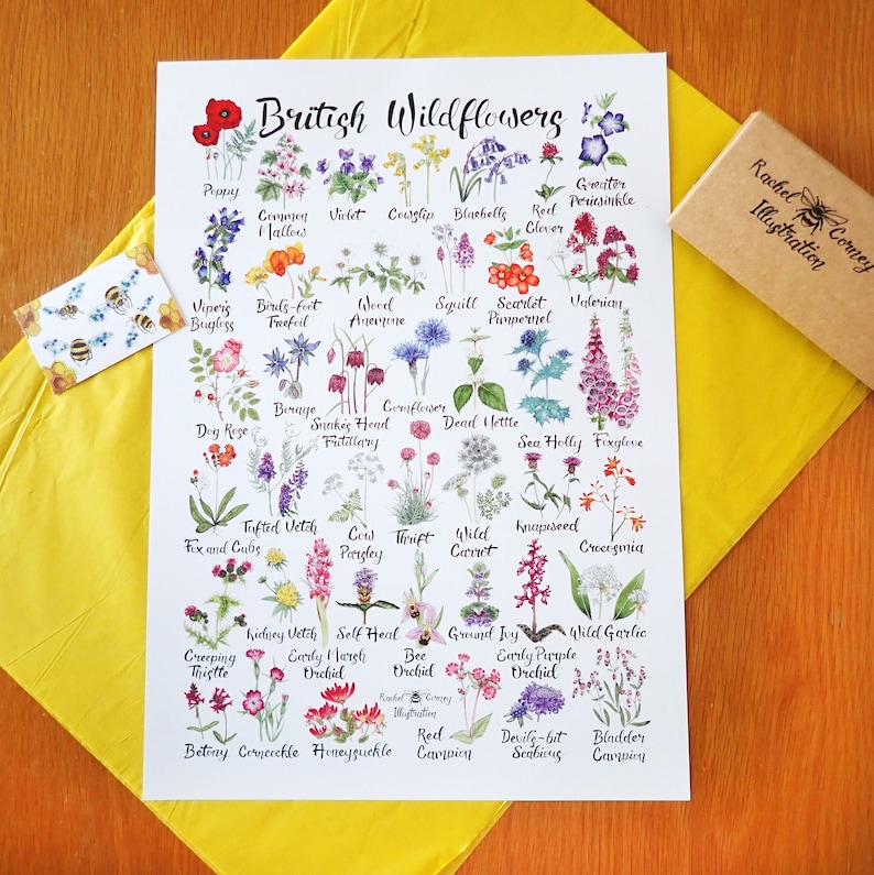 British Wildflowers Large Poster A3 Botanical Nature Print - Etsy UK