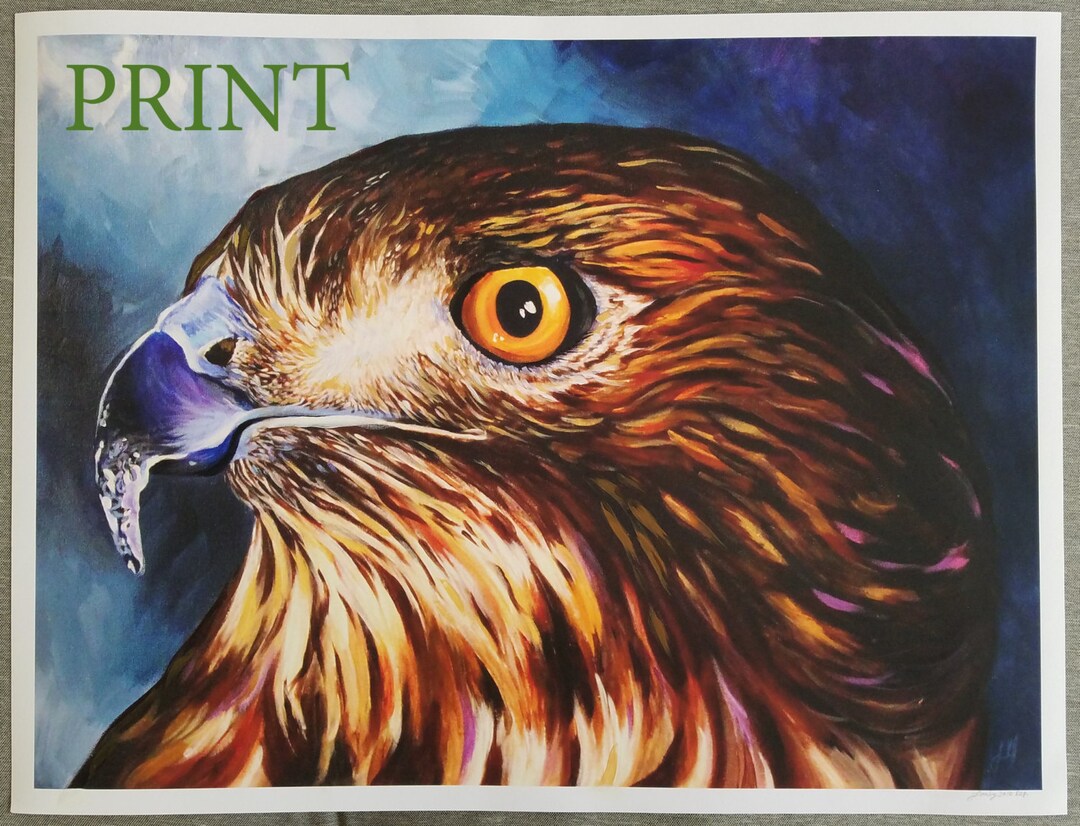 Red Tailed Hawk Giclee Print 20x15" - Etsy