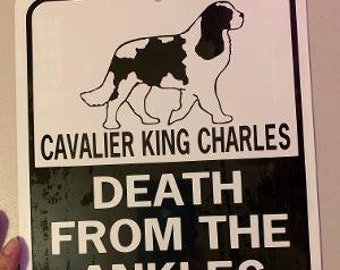 Cavalier Metal Sign - Etsy