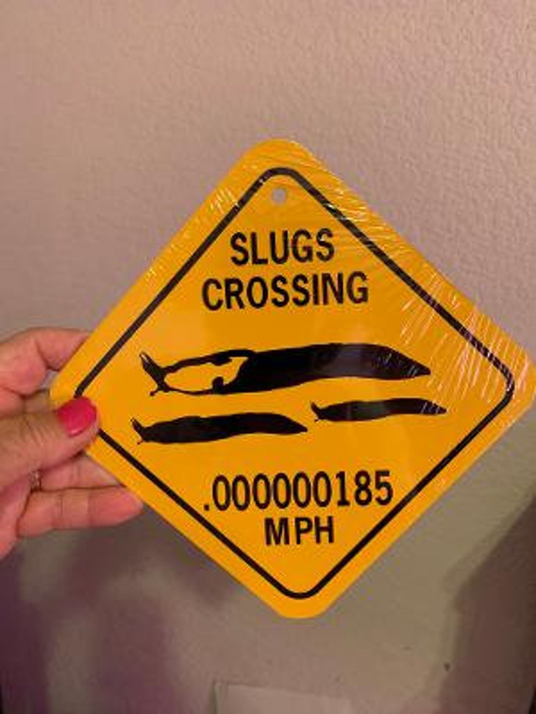 Slugs Crossing .000000185 MPH Funny Sign 6x6 Inch Aluminum Metal Garden ...