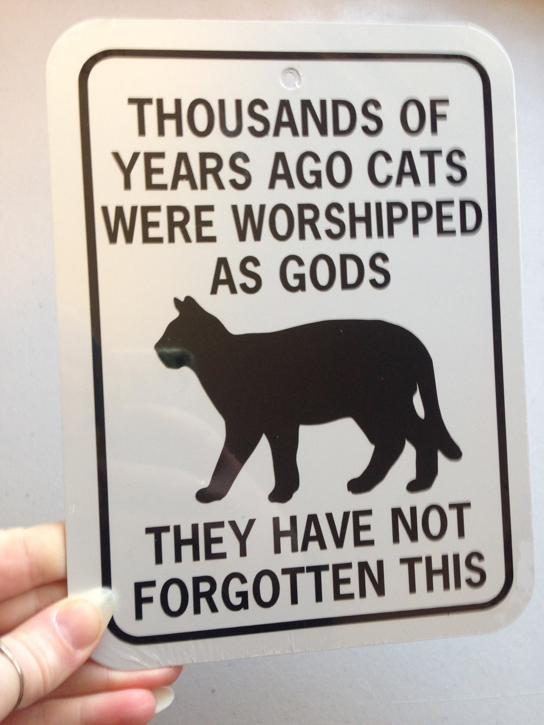 Thousands of Years Ago Cats Were Worshipped They Have Not Forgotten ...