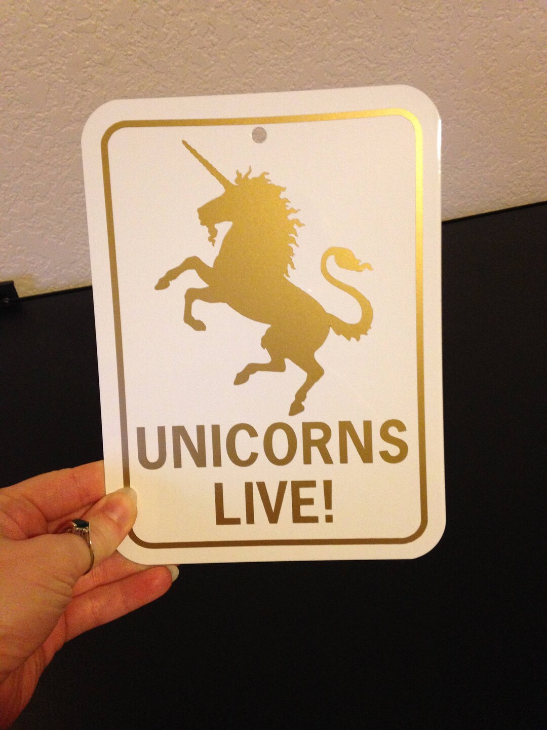 Unicorns Live Funny Sign 6x8 Inch Aluminum Metal Room Sign - Etsy
