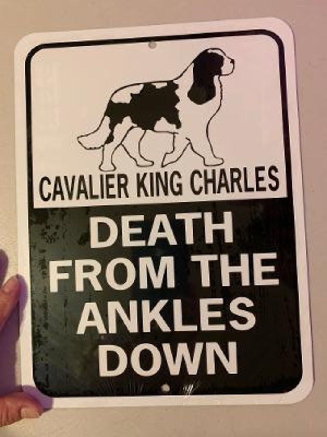 Cavalier King Charles Spaniel Funny Dog Signs 9x12 Inch Aluminum Metal ...