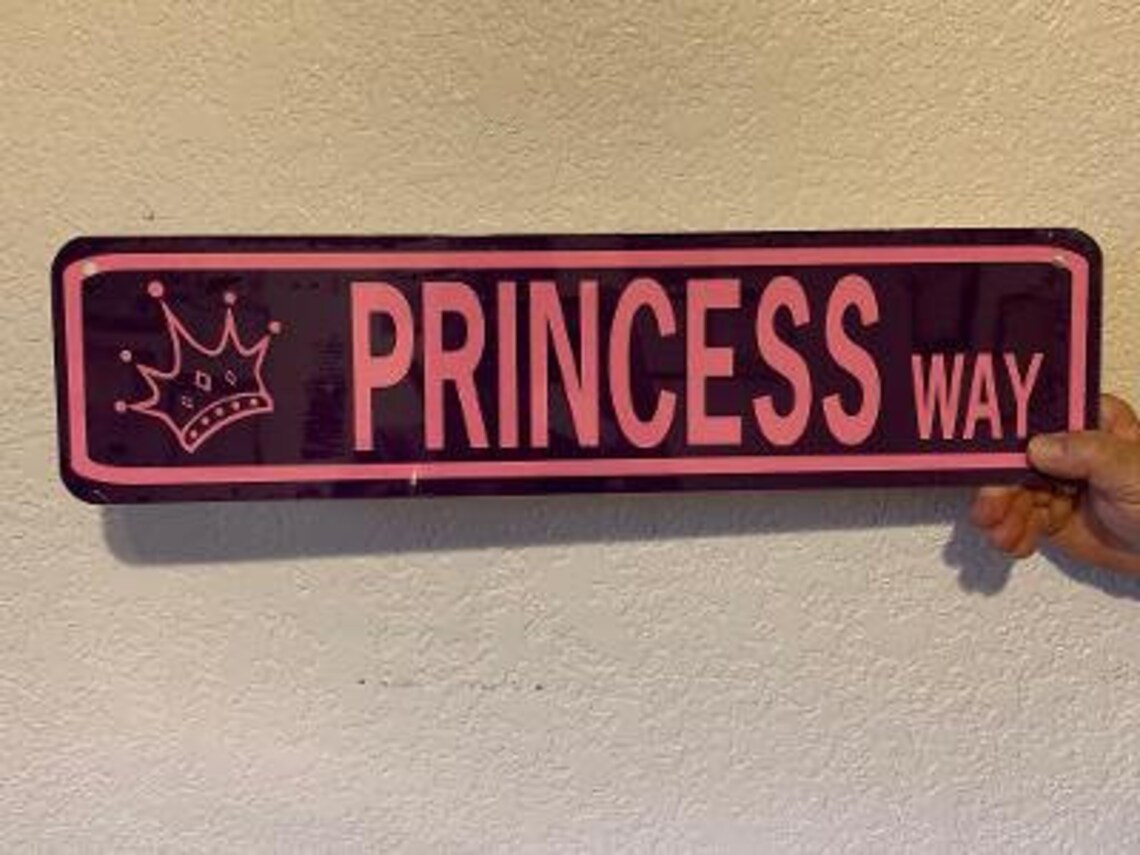 Princess Way purple and Pink Funny Sign 5x20 Inch Aluminum - Etsy