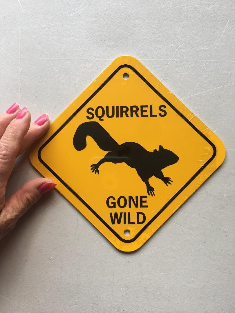 Squirrels gone wild Funny Squirrel Sign 6x6 inch Aluminum | Etsy