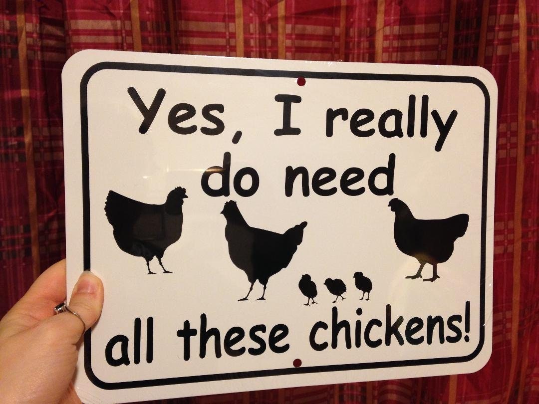 Yes I Really Do Need All These Chickens Funny Sign 9x12 Inch Aluminum ...