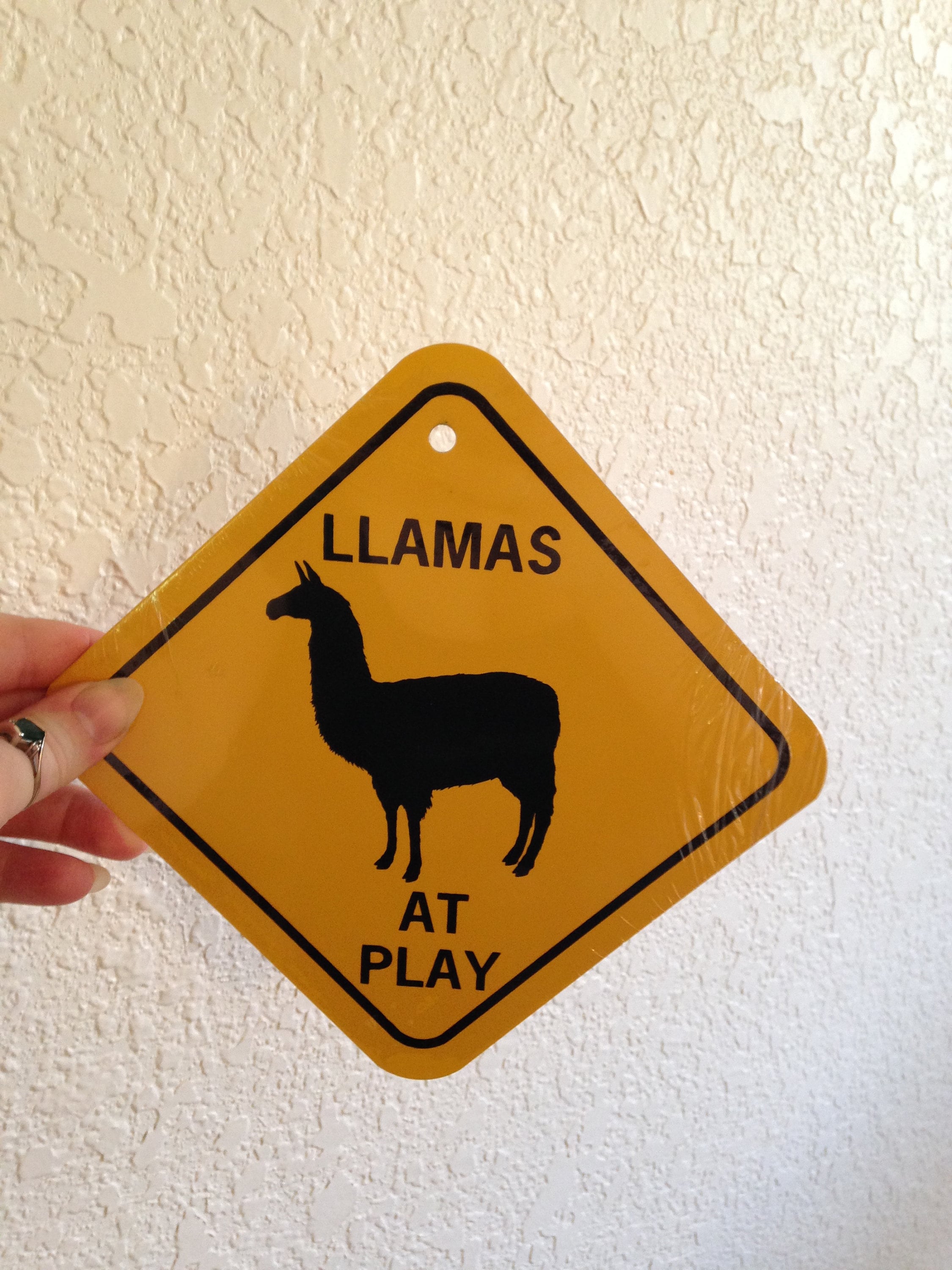 Llamas at play LLAMA funny Sign 6x6 inch Aluminum metal yard | Etsy