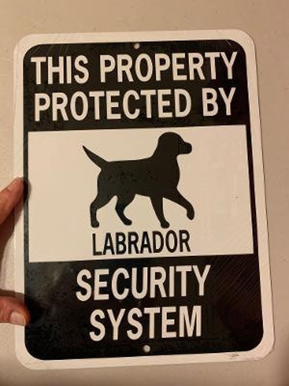 Labrador Funny Lab Dog Signs 9x12 inch Aluminum metal sign | Etsy