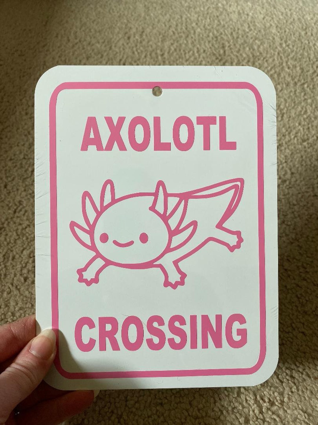 Axolotl Crossing Funny Sign 6x8 Inch Aluminum Metal Sign - Etsy
