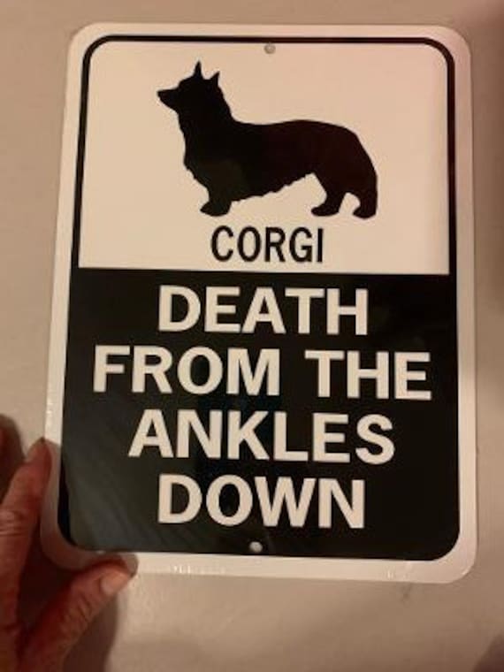 Pembroke Welsh Corgi Funny Dog Signs 9x12 Inch Aluminum Metal | Etsy