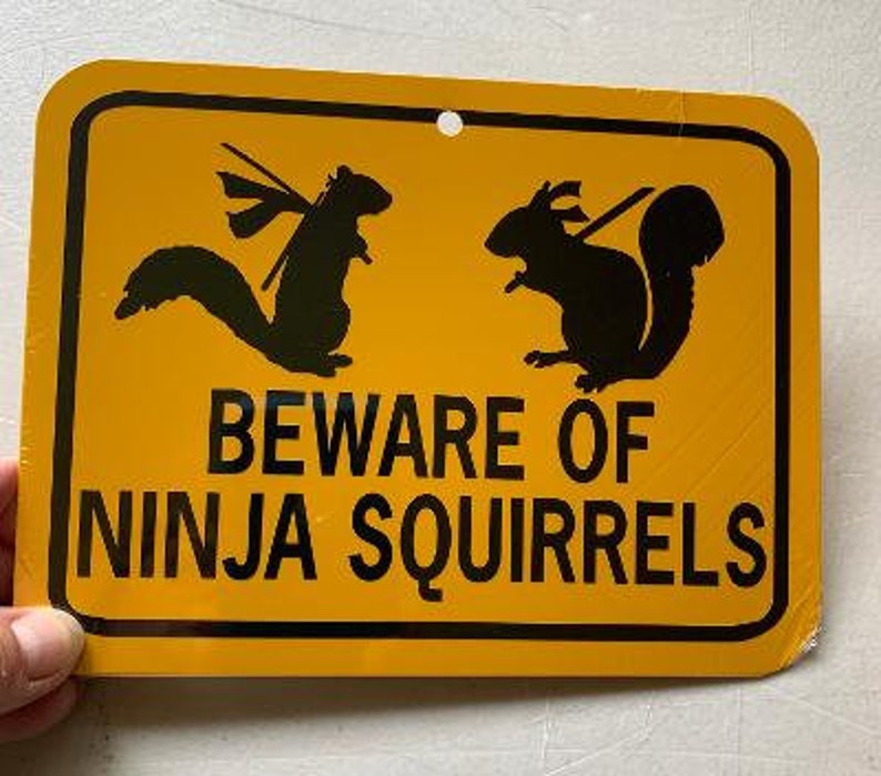 Beware of Ninja Squirrels Funny Squirrel Sign 6x8 Inch - Etsy