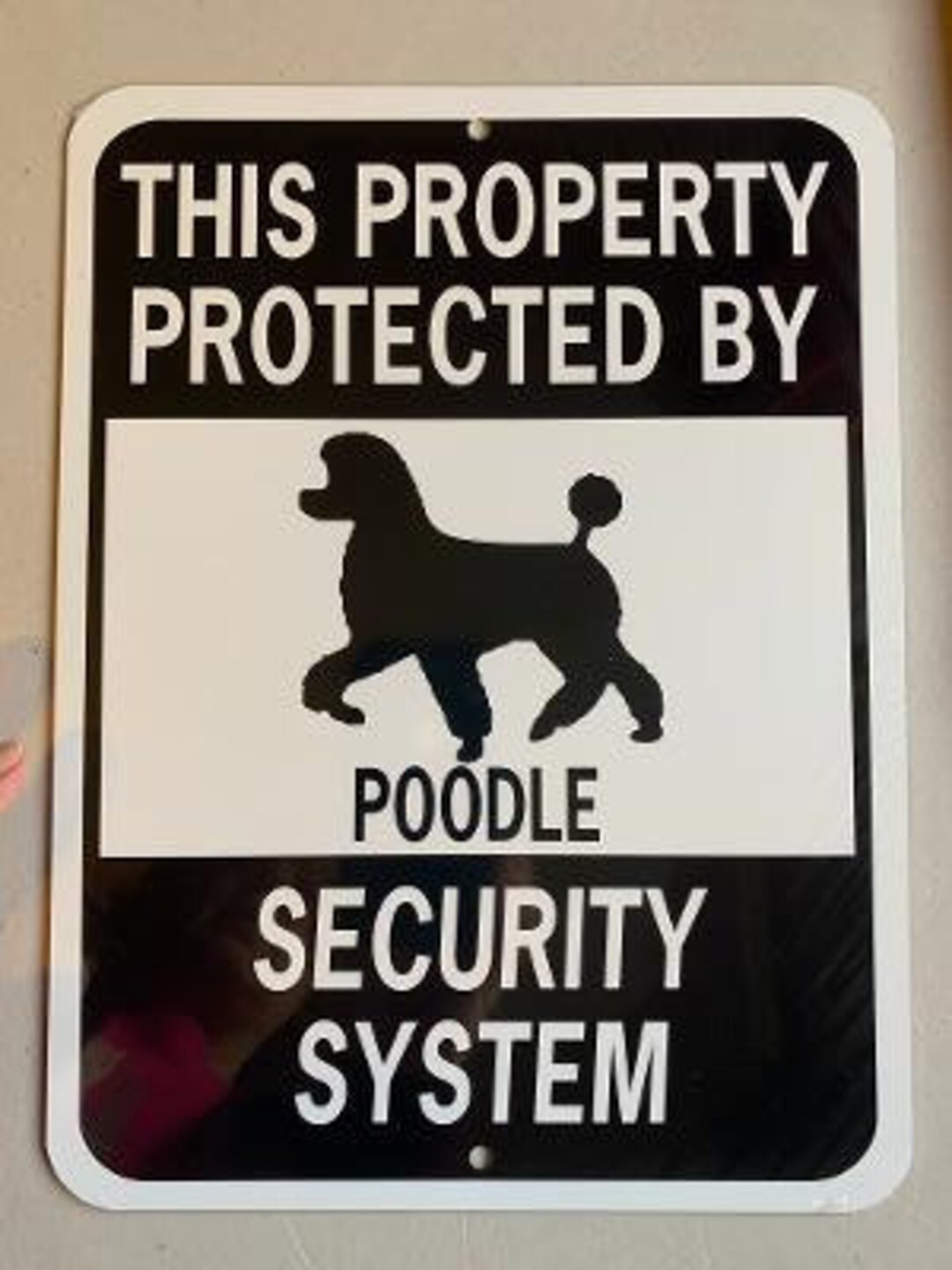 Poodle (utility Clip) Funny Dog Signs 9x12 Inch Aluminum Metal Sign - Etsy