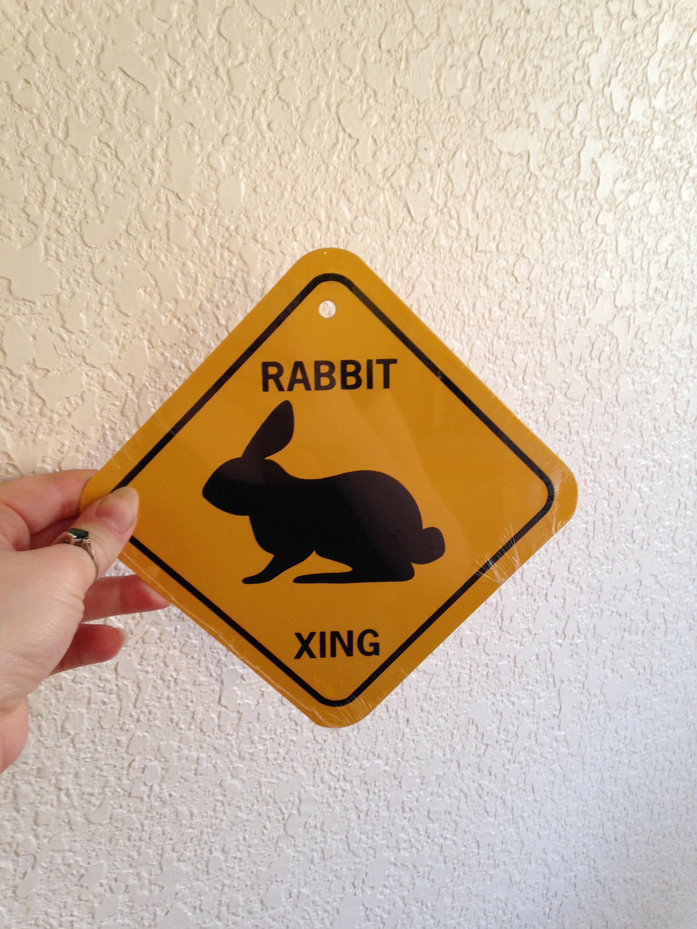 Rabbit Xing Crossing Funny Sign 6x6 Inch Aluminum Metal Yard | Etsy