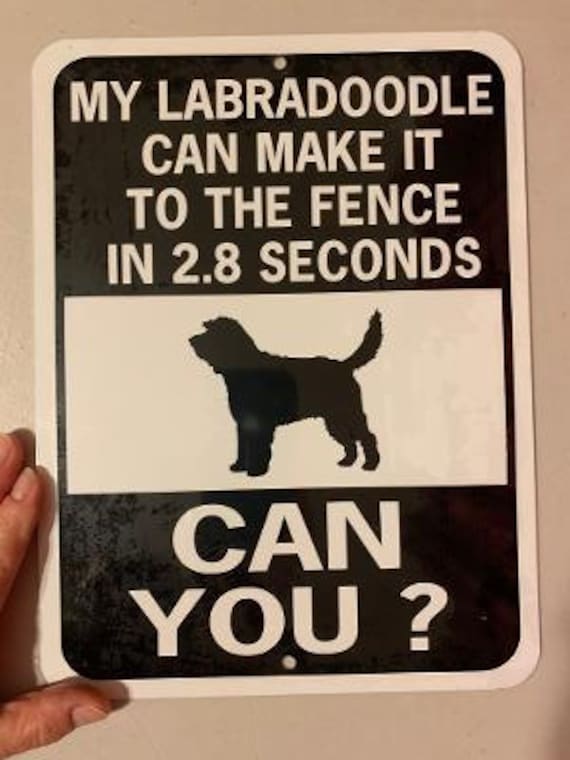 Labradoodle labrador X Poodle Funny Lab Dog Signs 9x12 Inch | Etsy