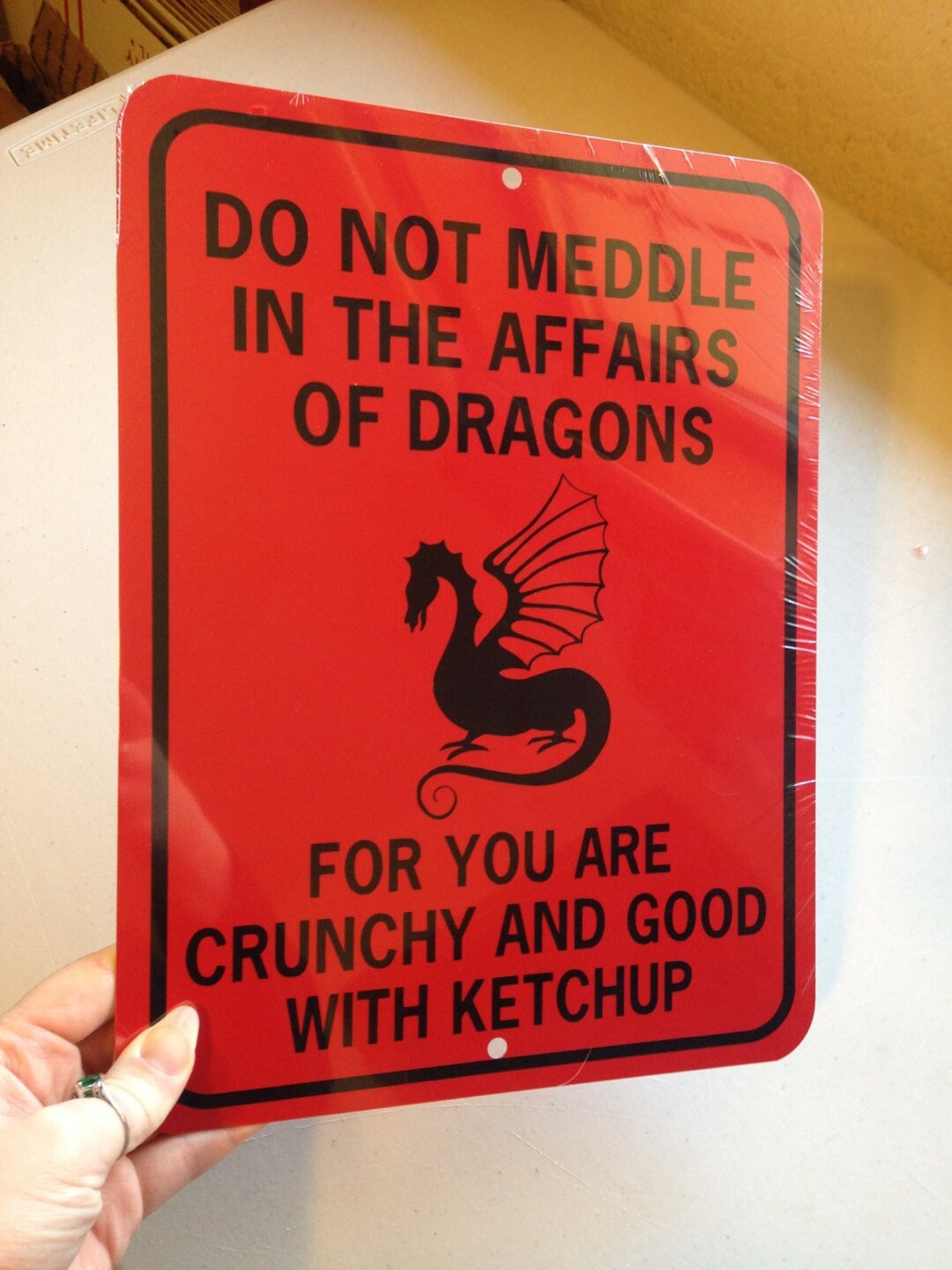 Dragon Signs Set of 2 Funny Sign 9x12 Inch Aluminum Metal Signs - Etsy