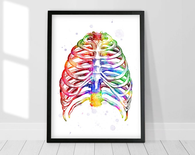 Spine art print Human spine anatomy art Medical poster | Etsy