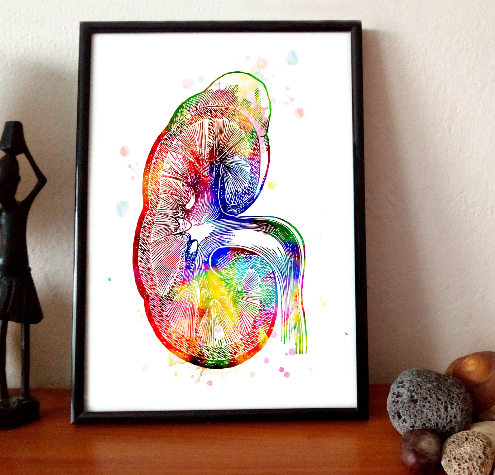 Kidney Watercolor Print Human Organs Anatomy Art Urology | Etsy