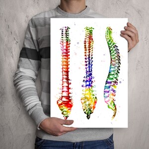 Spine Art Print, Human Spine Anatomy Art, Medical Poster, Vertebral ...