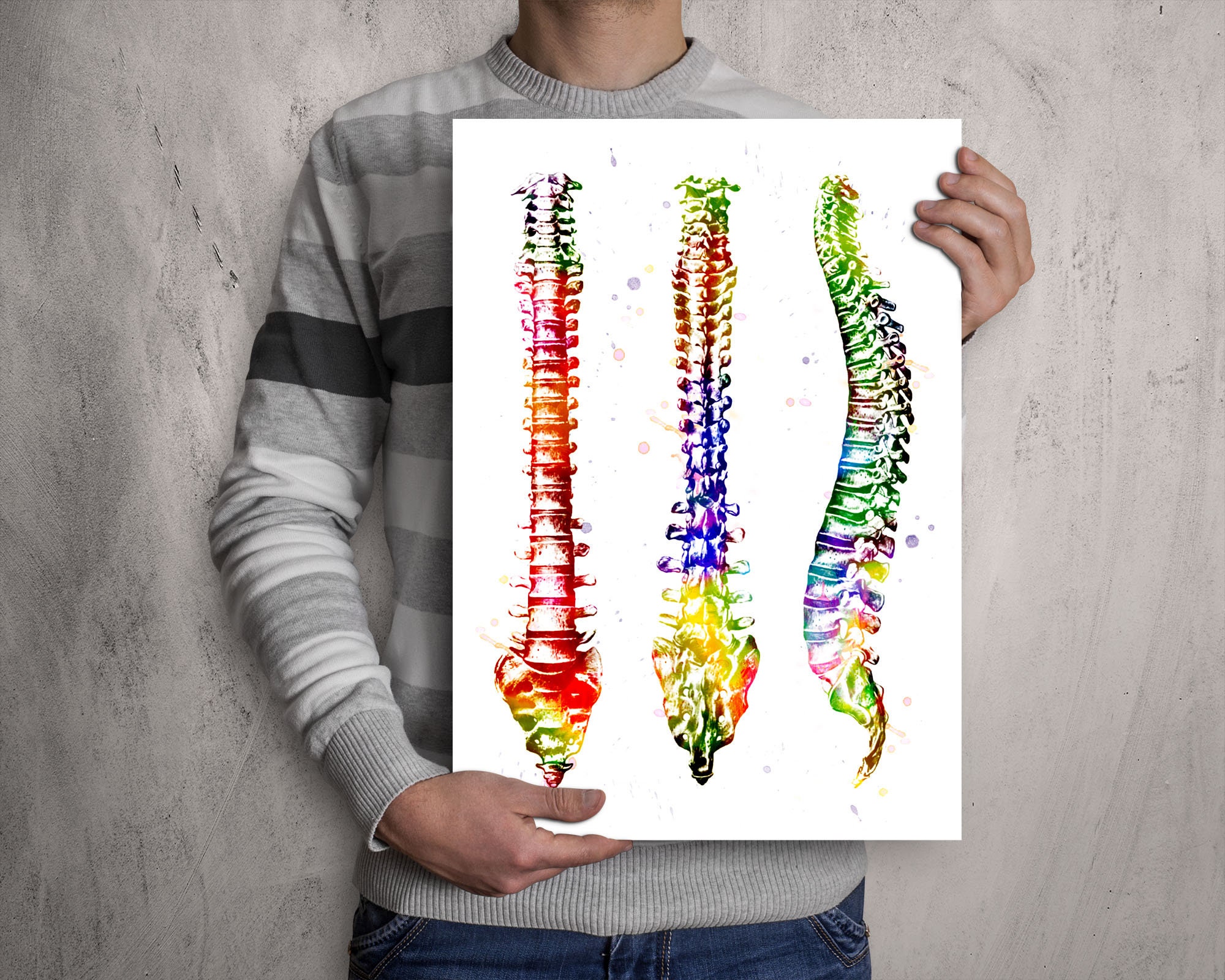 Spine Art Print Human Spine Anatomy Art Medical Poster - Etsy