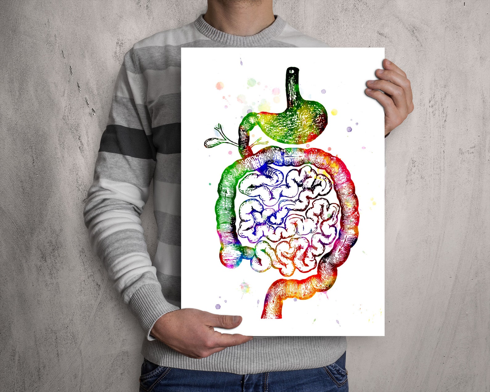 Intestine Watercolor Art Print Human Organs Anatomy Art - Etsy