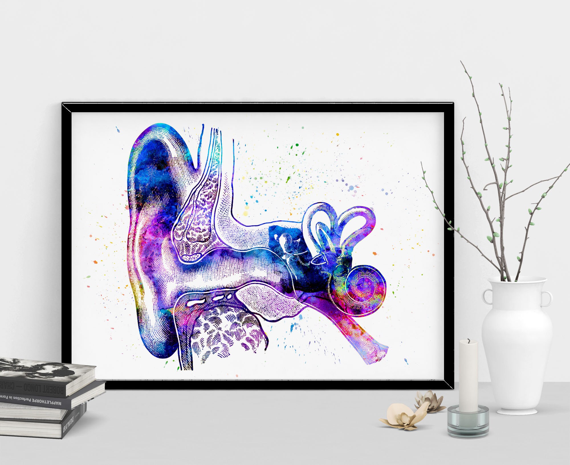 Ear Anatomy Art Print Audiologist Gift Audiology Wall Art | Etsy