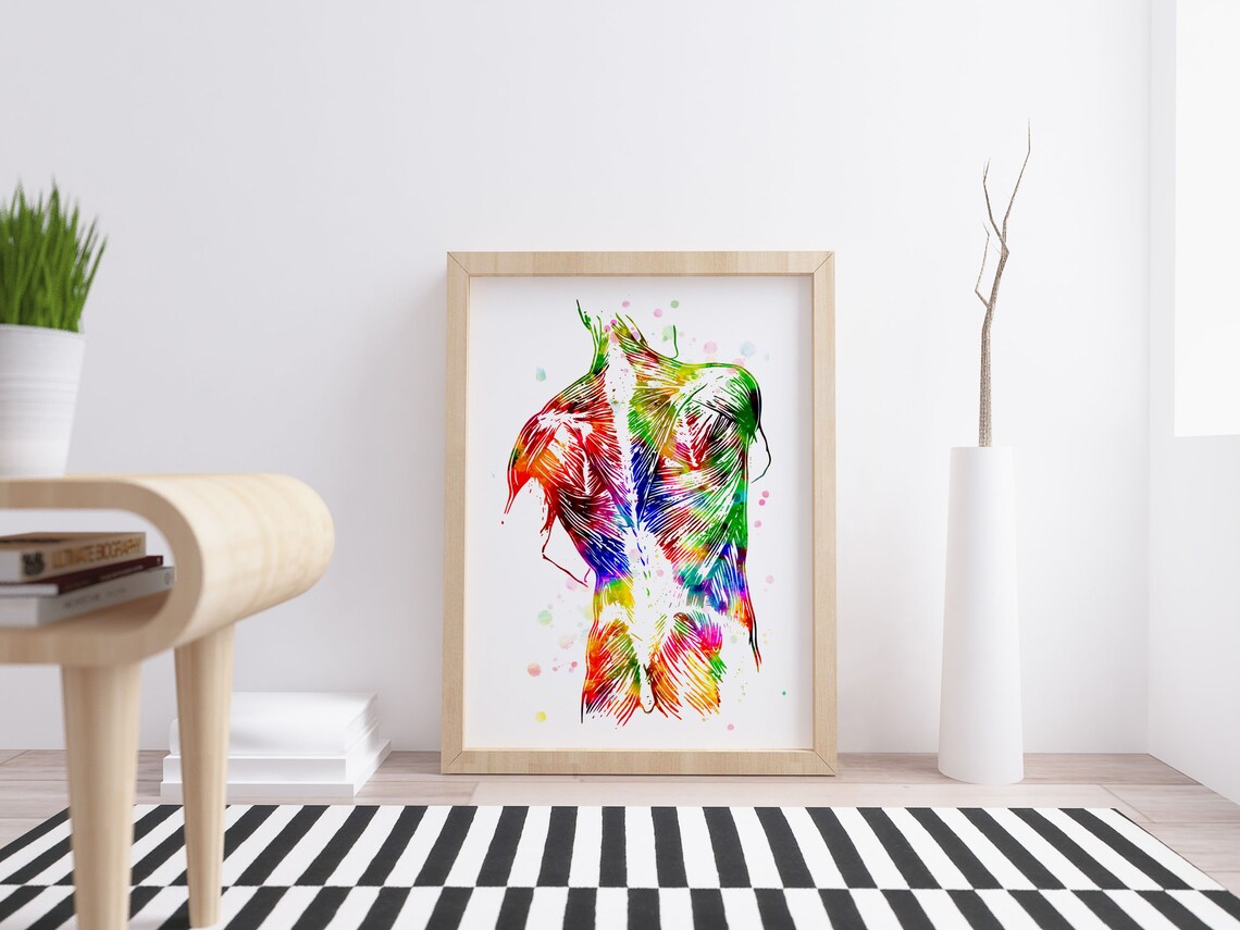 Watercolor Back Muscles Anatomy Print: Chiropractic Art, Doctor Office ...
