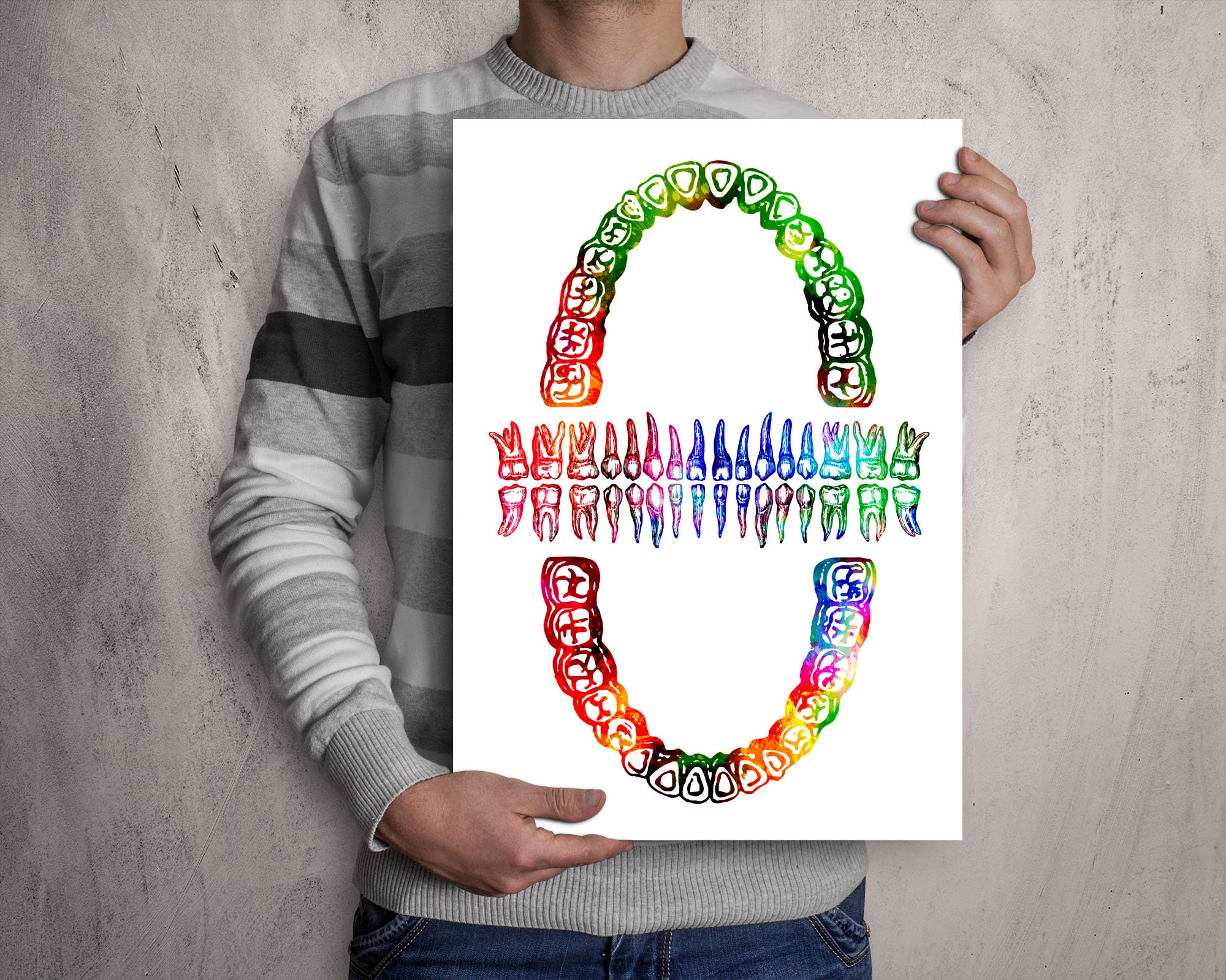 Human Teeth Watercolor Art Tooth Chart Print Dentist Gift - Etsy