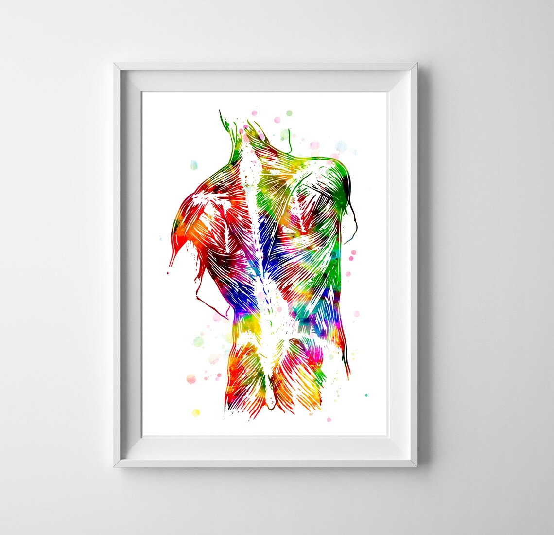Watercolor Back Muscles Anatomy Print: Chiropractic Art, Doctor Office ...
